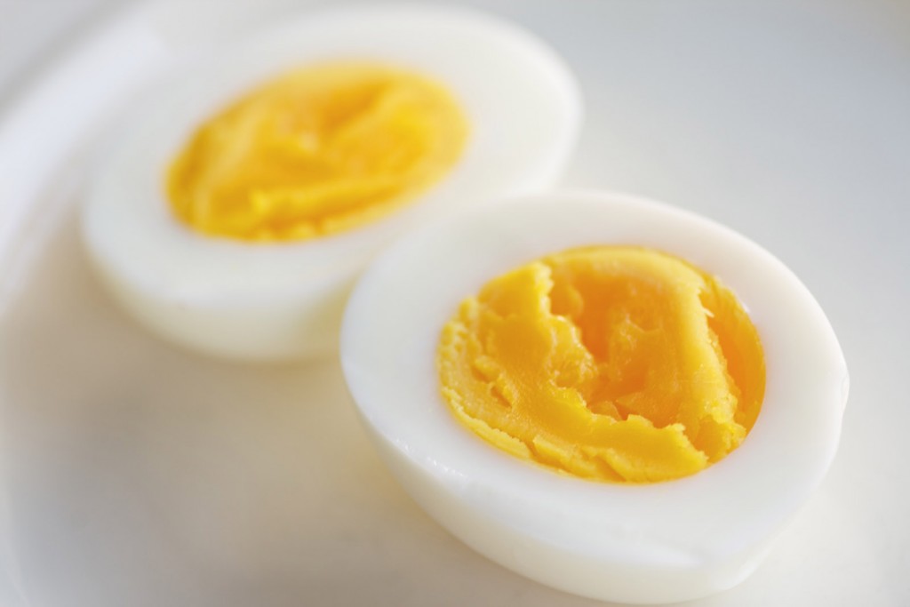 7 Protein Sources To Fuel Your Body Before And After Your Workout - The ...