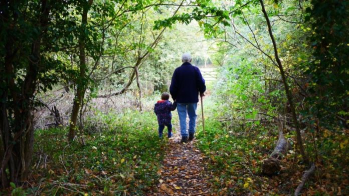 12 Reasons Why Moving to the Countryside Might Be For You - The Trent